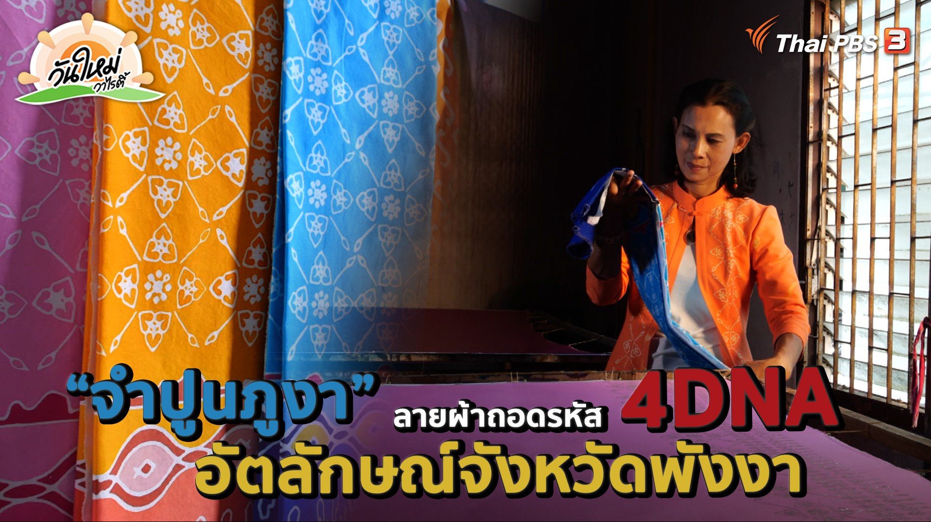 จำปูนภูงา ลายผ้าถอดรหัส 4DNA อัตลักษณ์จังหวัดพังงา | Thai PBS News ข่าว ...