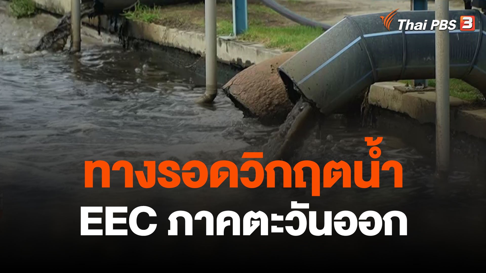สถานีร้องเรียน : ทางรอดวิกฤตน้ำ EEC ภาคตะวันออก เขตอุตสาหกรรม - บริการ | Thai PBS News ข่าวไทย ...
