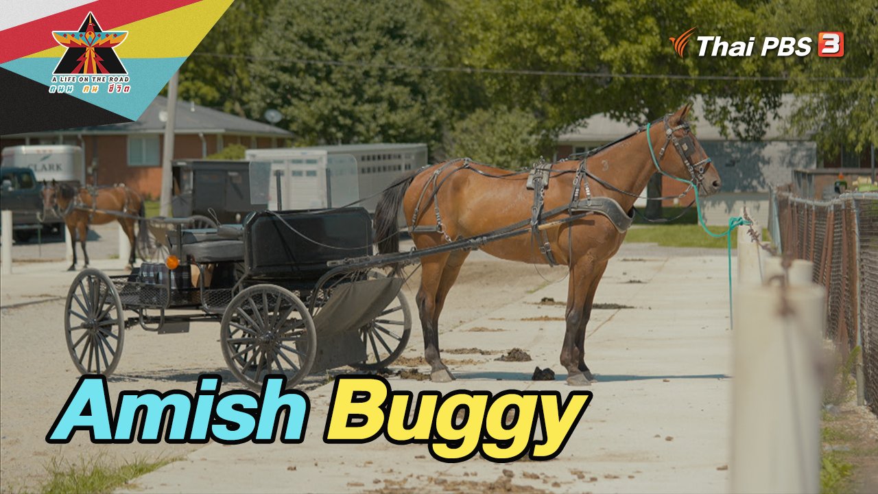 A Life on the Road ถนน คน ชีวิต - Amish Buggy | Thai PBS รายการไทยพีบีเอส