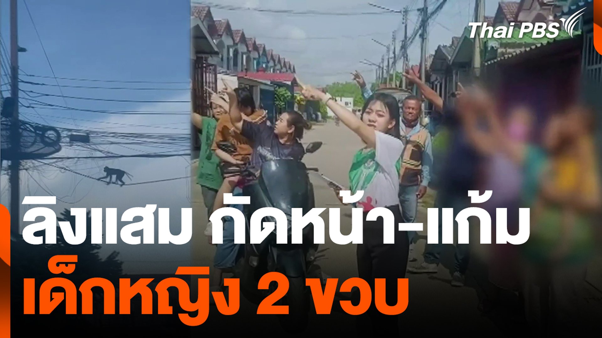 ข่าวค่ำ - ลิงแสม กัดหน้า-แก้ม เด็กหญิง 2 ขวบ | Thai PBS รายการไทยพีบีเอส