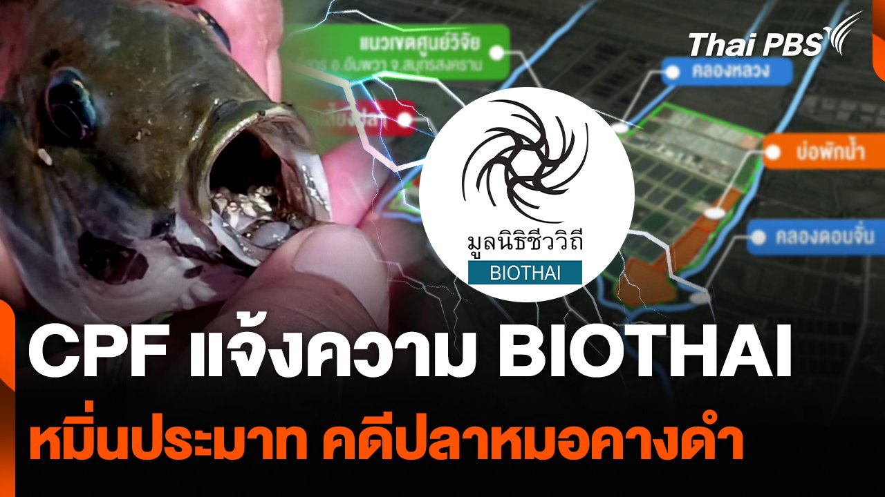 ข่าวเที่ยง - CPF แจ้งความ BIOTHAI หมิ่นประมาท คดีปลาหมอคางดำ | Thai PBS รายการไทยพีบีเอส