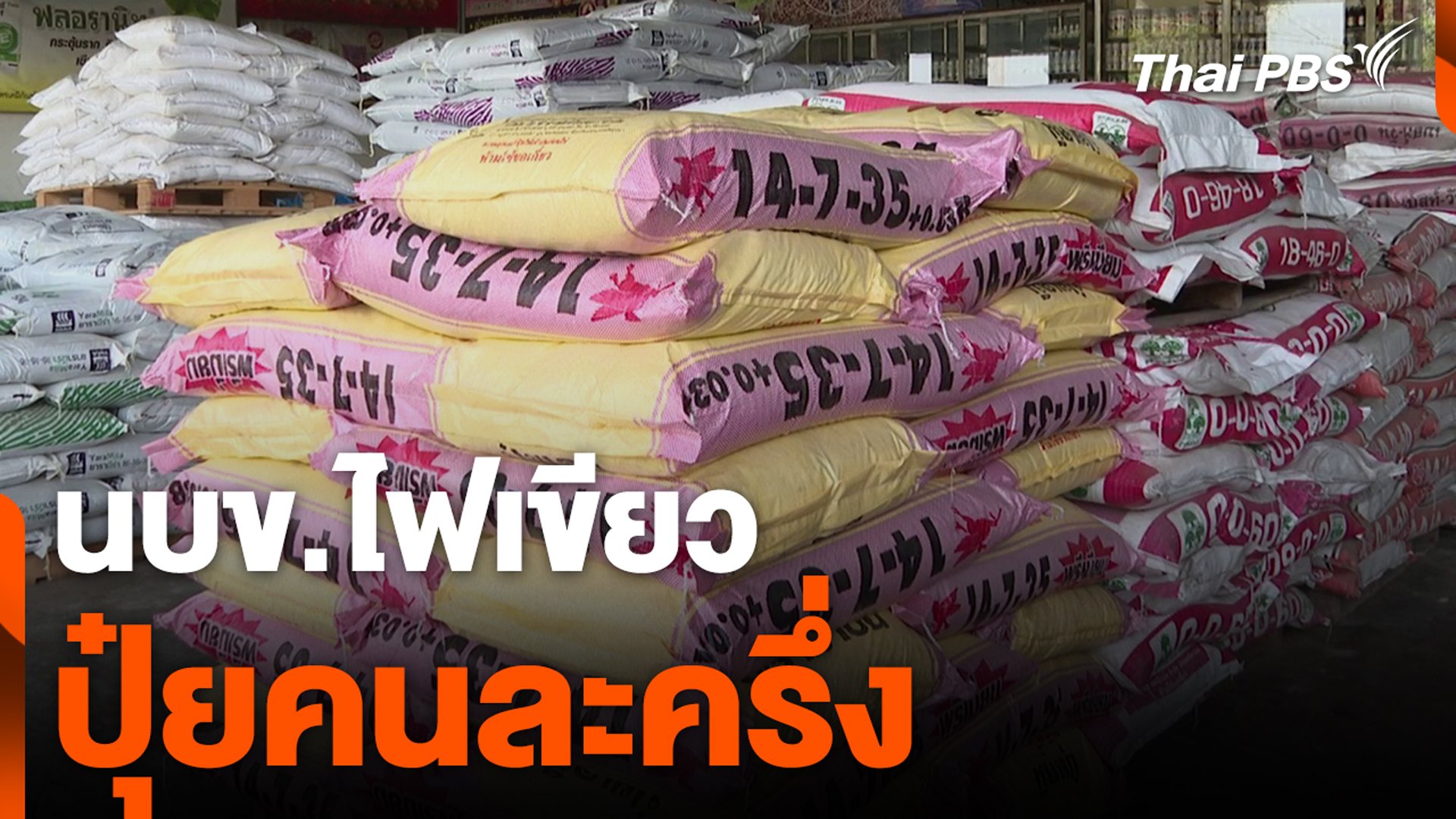 ข่าวค่ำ - นบข.ไฟเขียว ปุ๋ยคนละครึ่ง | Thai PBS รายการไทยพีบีเอส