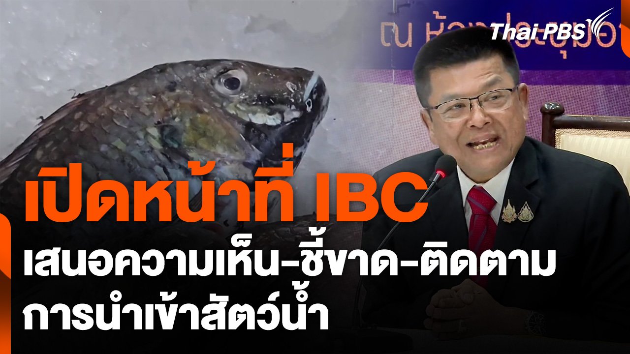 เปิดหน้าที่ IBC เสนอความเห็น-ชี้ขาด-ติดตาม การนำเข้าสัตว์น้ำ | Thai PBS ...