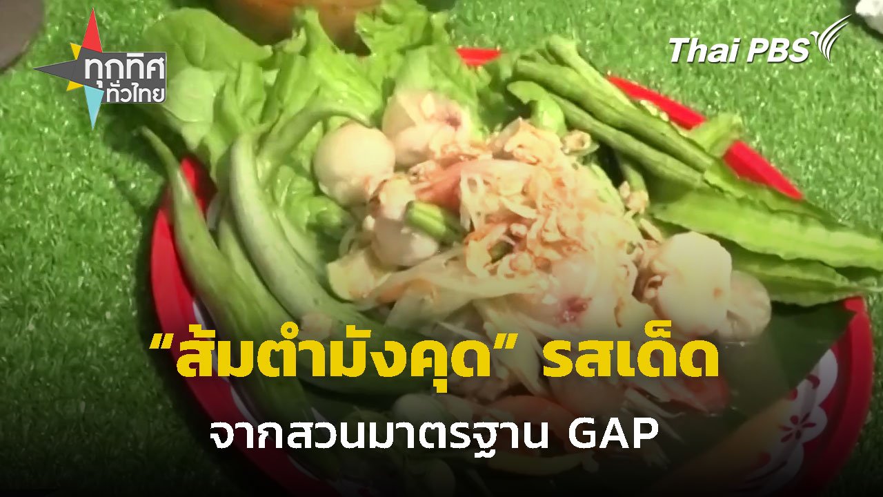 "ส้มตำมังคุด" รสเด็ด จากสวนมาตรฐาน GAP | Thai PBS News ข่าวไทยพีบีเอส