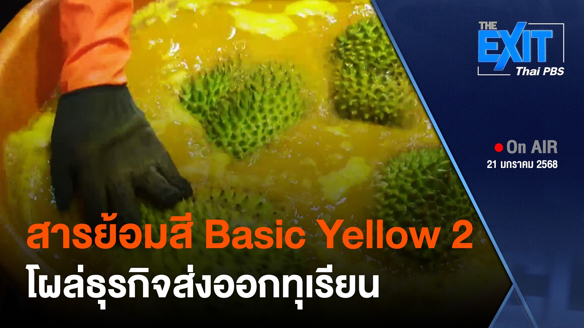 เปิดตัวเลขนำเข้าสารย้อมสี Basic Yellow 2 โผล่ธุรกิจส่งออกทุเรียน | Thai ...