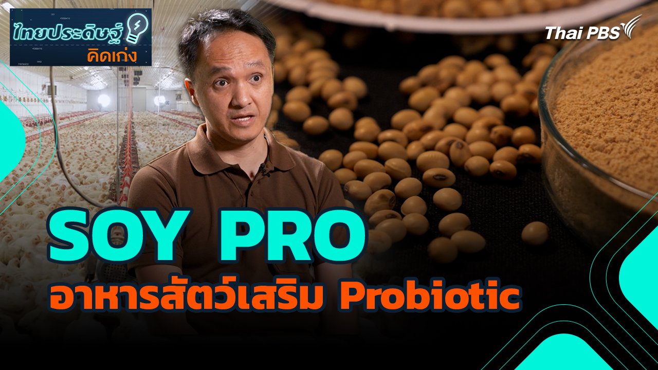 ไทยประดิษฐ์คิดเก่ง : SOY PRO อาหารสัตว์เสริม Probiotic | Thai PBS News ข่าวไทยพีบีเอส