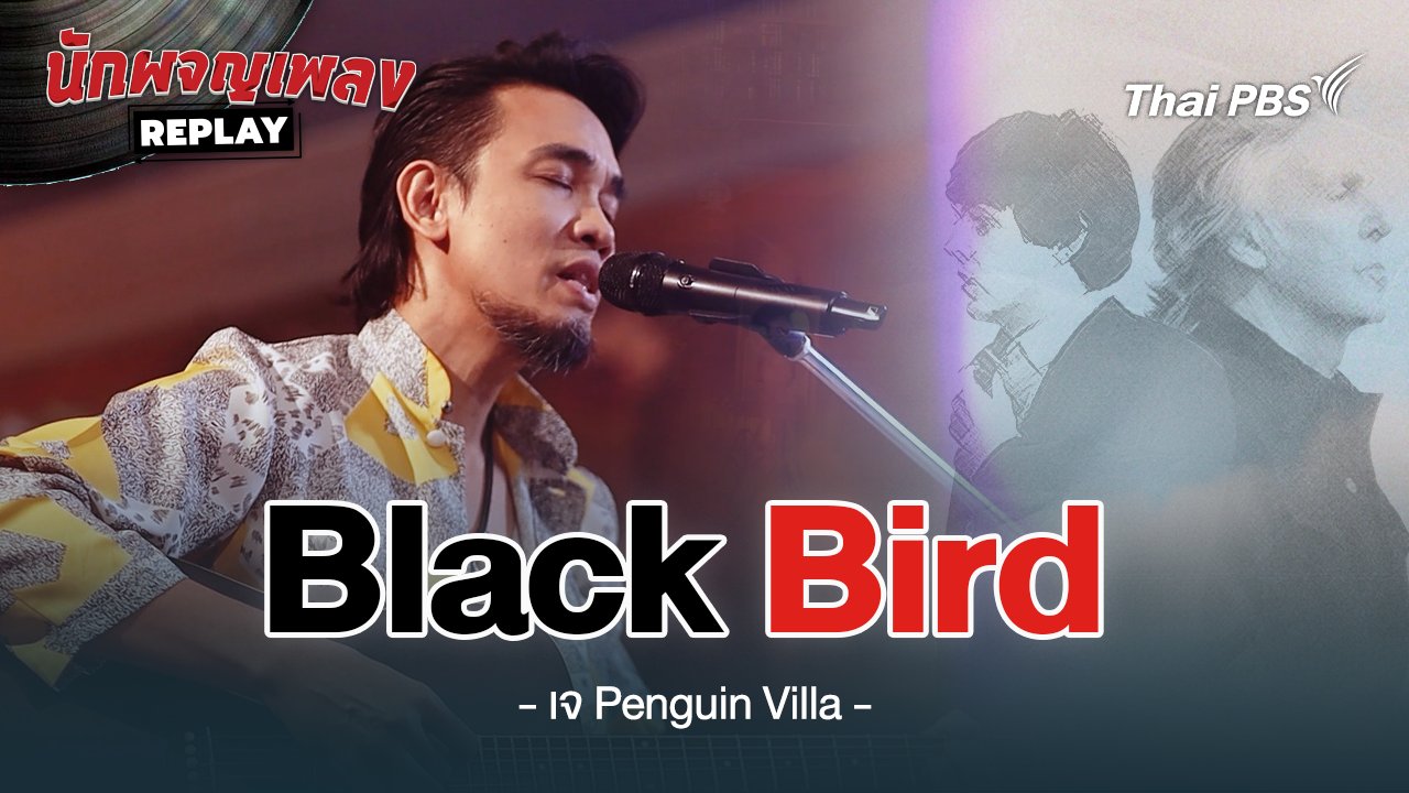 นักผจญเพลง REPLAY - Blackbird - The Beatles Covered by เจ Penguin Villa | Thai PBS รายการไทยพีบีเอส