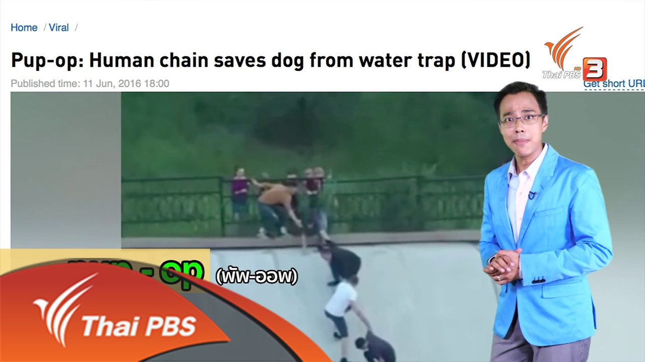 ข่าวค่ำ - ภาษาหน้าจอ : Pup-op | Thai PBS รายการไทยพีบีเอส